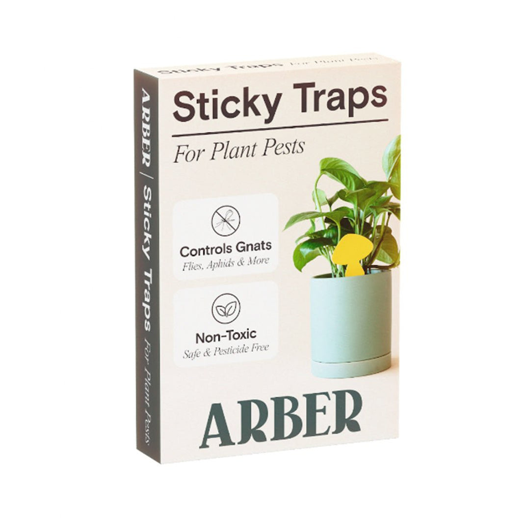 Sticky Traps for Plant Pests — House Plant Dropship